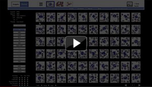 EasyCell assistant video – White blood cell differentiation automation